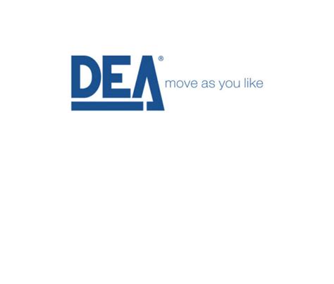 Dea System Dynamics International