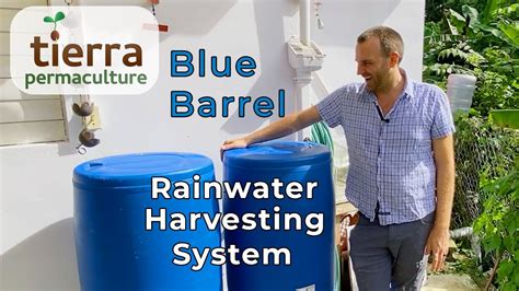 Rainwater Harvesting Barrel