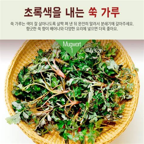 한솔요리학원 식재료의모든것 7 요리에 색을 입히다 평범한 음식도 화려한 요리로 변신시키는 천연가루