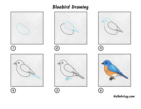 Bird Drawing Step By Step At Madeleine Frayne Blog