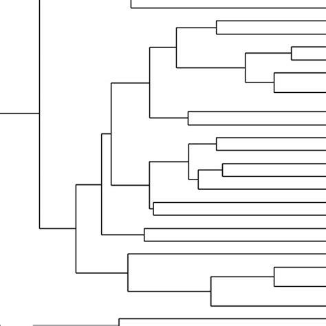 Unweighted Pair Group Method With Arithmetic Means Upgma Clustering Download Scientific