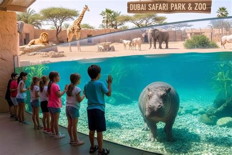Maior Parque De Vida Selvagem De Dubai Tem Elefante Na Piscina Leão