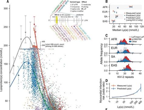 Protein Coding Repeat Polymorphisms Strongly Shape Diverse Human Phenotypes Rheredity