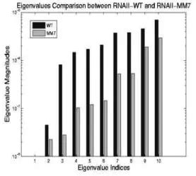 Modeling RNA Folding