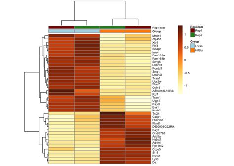 Alternatives And Detailed Information Of Rnaseq Workflow GitPlanet
