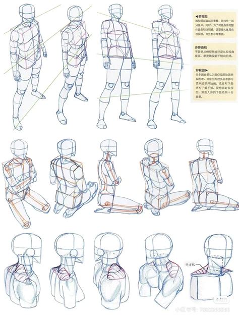 Drawing A Figure Tutorial Structure Figure Drawing Tutorial
