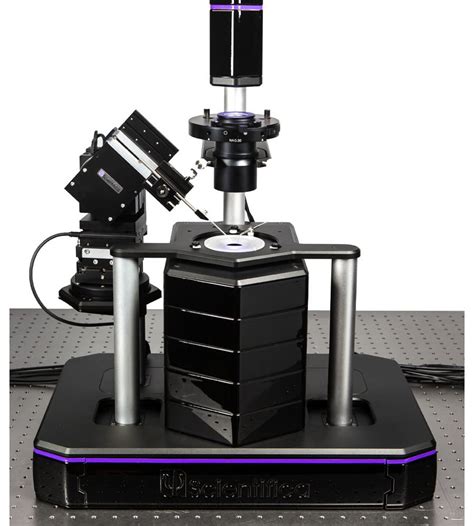 Optimising Cardiovascular Patch Clamp Workflows With Scientifica