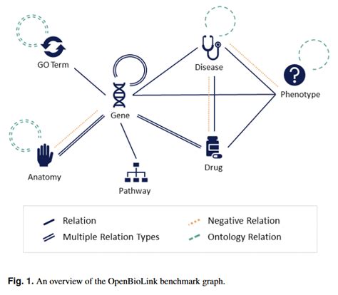 R Openbiolink A Benchmarking Framework For Large Scale Biomedical