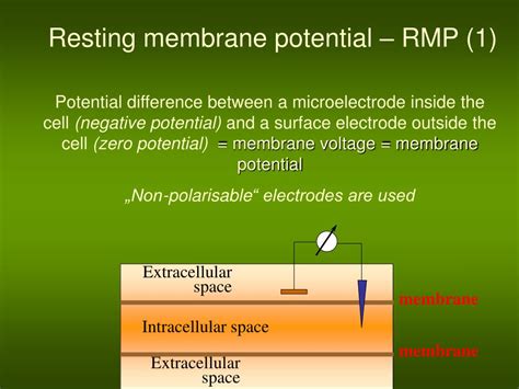 Ppt Biological Membranes And Bioelectric Phenomena Powerpoint