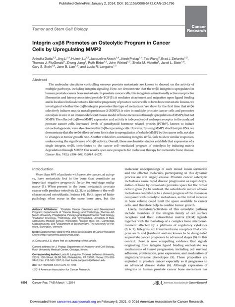 Pdf Integrin Avb6 Promotes An Osteolytic Program In Cancer · Cell Adhesion And Migration