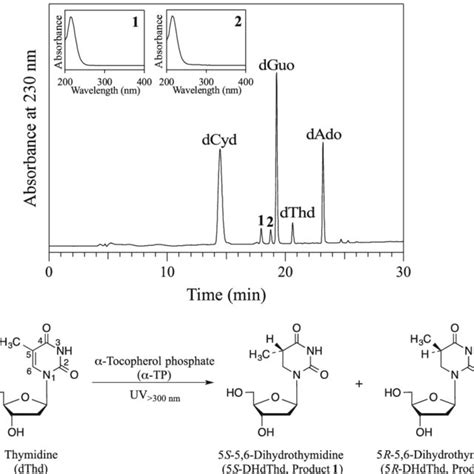 Rp Hplc Chromatogram Of A Reaction Mixture Of Nucleosides With α Tp Download Scientific Diagram