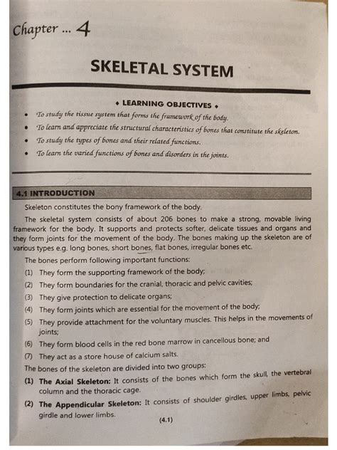 Skeletal System Lab Pdf