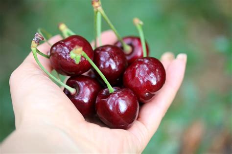 ‎اشپزخانه کوچک من‎ Added A New Photo اشپزخانه کوچک من