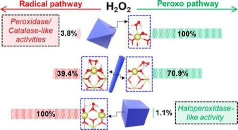 调节明确的 Ceo2 纳米酶上的 H2o2 激活途径可以完全控制相关酶反应之间的特异性 Acs Nano X Mol