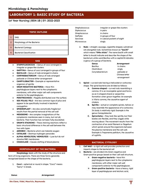 Lab 1 Basic Study Of Bacteria Pdf Bacteria Cell Biology