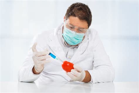 Gmo Stock Image Image Of Laboratory Scientist Genetically 59601707