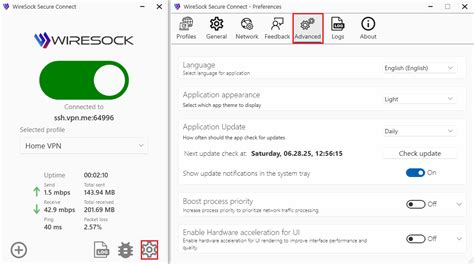 Advanced Settings Wiresock Documentation