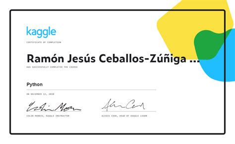 Ramón Jesús Ceballos Zúñiga Marín Completed The Python Course On Kaggle