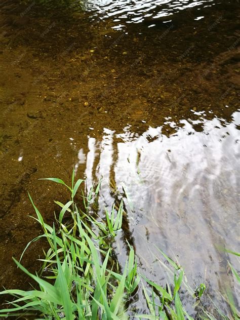 Premium Photo Reflection Of Grass In Puddle