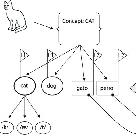The Inhibitory Control Model Green 1986 1998 An Example Of An