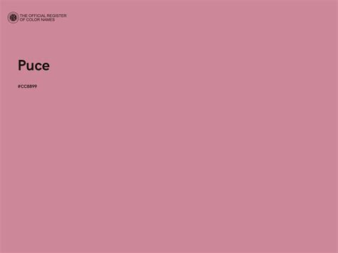 Puce Color Cc8899 The Official Register Of Color Names