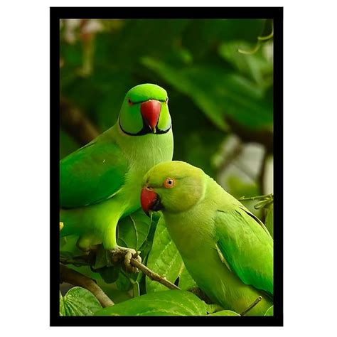 Vastu Compliant Green Parrot Photo Frame Two Parrots Poster For Wall