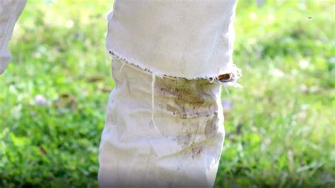 How To Remove Grass Stains ~ Shine Plus Carpet Cleaning Services In London