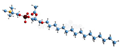 Plasmalogen Stock Illustrations 2 Plasmalogen Stock Illustrations