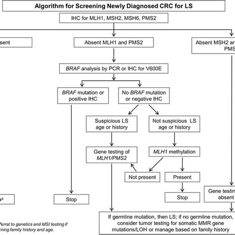 Algorithm For Screening Newly Diagnosed Colorectal Carcinoma Crc For
