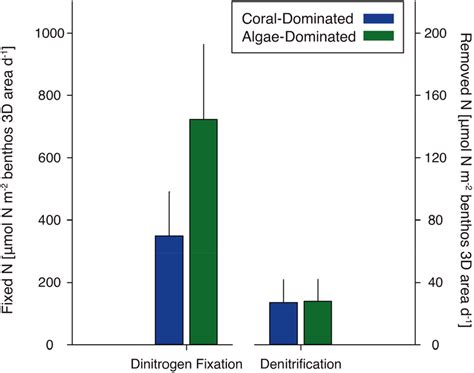 Total Fixed Via Dinitrogen Fixation And Removed N Via Download Scientific Diagram