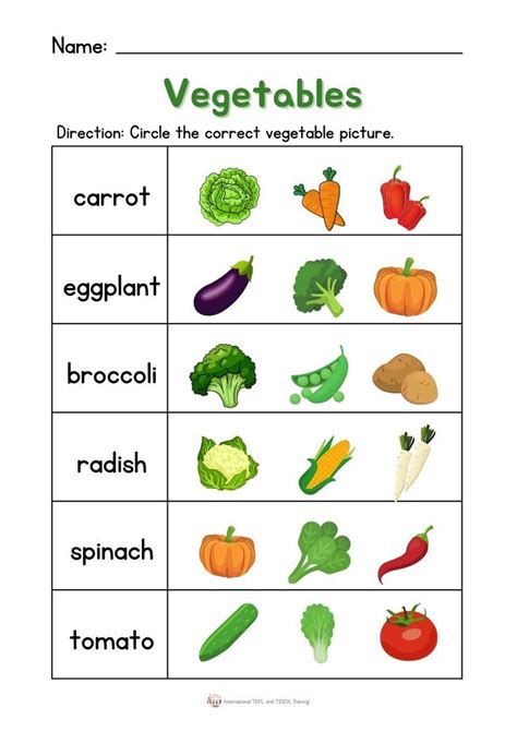 Teach English Online ️ ️ ️ Ittt In 2023 Vegetable Pictures Vegetables Teaching English Online