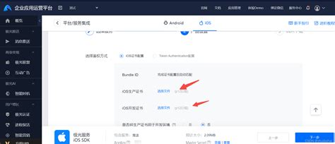Flutter集成极光推送flutter极光推送 Csdn博客