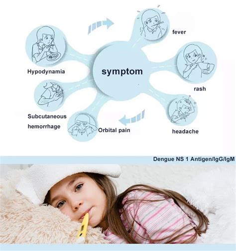 Dengue Test Kit Ns1 Igg Igm Antigen Rapid Test Kit 1 Test Per Pack