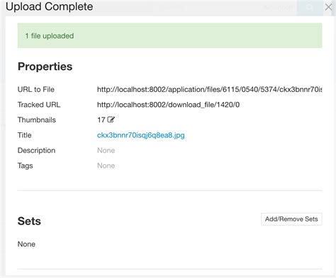 File Manager Drag And Drop Functionality Does Not Replace A File If
