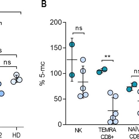 Dna Methylation Assay A The Relative Quantification Of Methylation