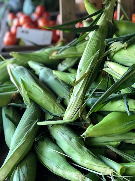 Vegan Roasted Corn And Cherry Tomato Salsa