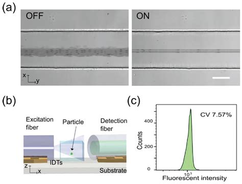 Standing Surface Acoustic Wave Ssaw Based Fluorescence Activated Cell Sorter Abstract
