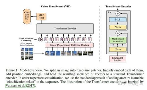 Transformer Vit Dert 知乎