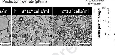 Optimization Of Microcapsules Shell Thickness For Efficient Cell Download Scientific Diagram