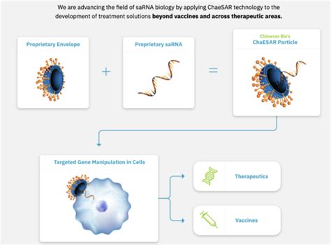 Self Amplifying Rna Synthetic Agenda