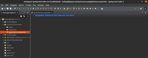Spring Boot Actuator Naukri Code