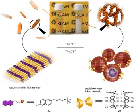 Macrocycle‐based Supramolecular Interaction Induced Lcst Behavior In Download Scientific