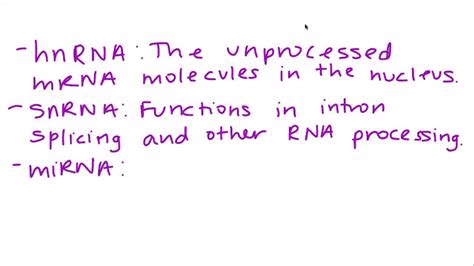 SOLVED What Is The Difference Between HnRNA SnRNA MiRNA SiRNA And SnoRNA
