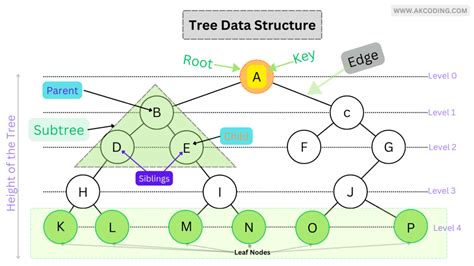 Tree Data Structure Top 10 Types Of Trees