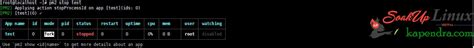 learn nodejs app management with pm2 tool on rhel centos 6 7