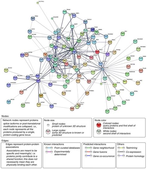 Microarray‑based Bioinformatics Analysis Of The Prospective Target Gene