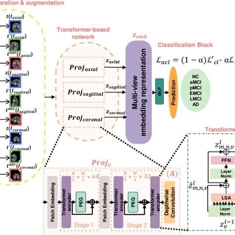 Fine Grained Classification Framework With Transformer Based Encoder