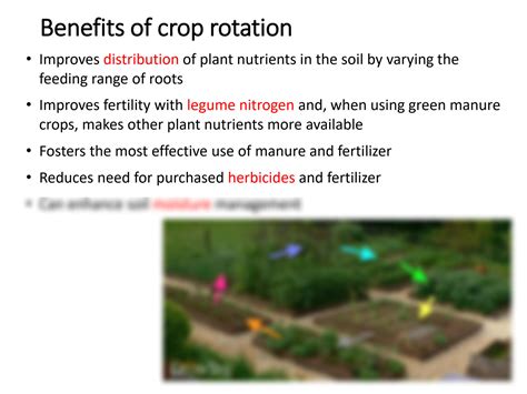 SOLUTION Unit Principles Of Crop Rotation Studypool