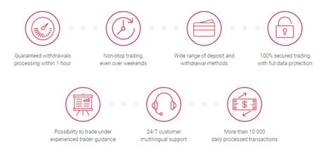 Top Binary Options Brokers And Platforms 2024 Merehead