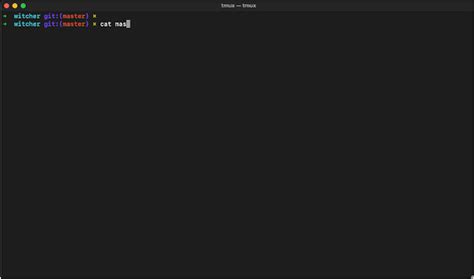 Witcher Managing Github Advanced Security Ghas Controls At Scale